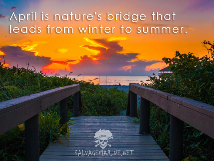 Sailing Through Life: Quotes for the Boating Enthusiast - Salvage ...