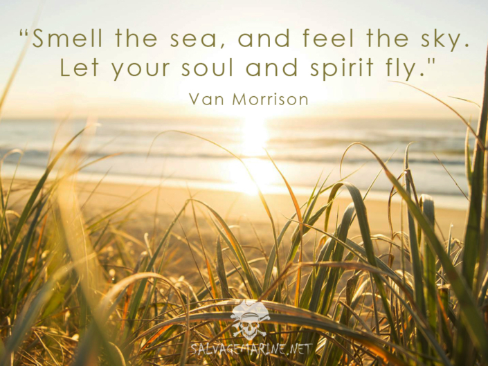 Sailing Through Life: Quotes for the Boating Enthusiast - Salvage ...